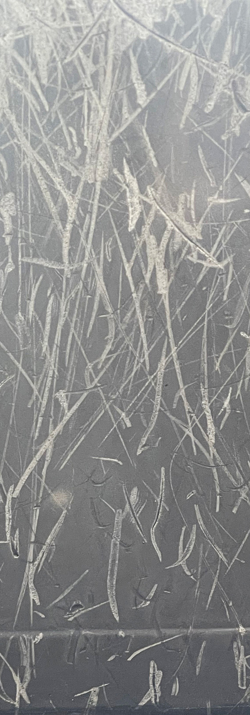 Carven | Official Website